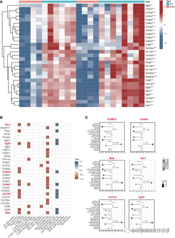 单细胞和bulk RNA测序的联合分析，揭示了脊髓损伤中的免疫浸润和靶向治疗药物 - 知乎
