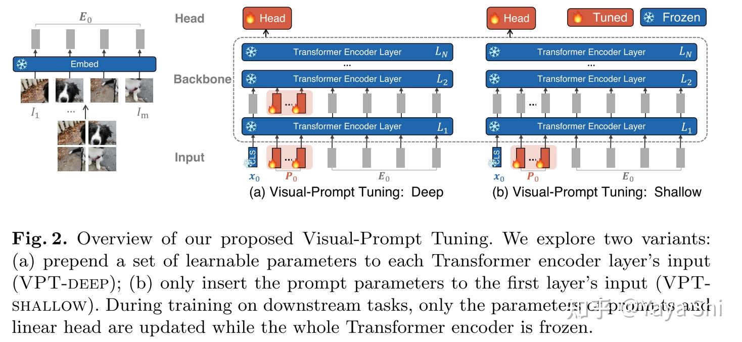 [论文阅读] Visual Prompt Tuning - 知乎