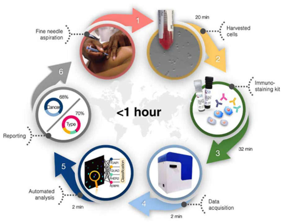 Sci Trans Med| 便携式乳腺癌诊断系统, 1小时50个细胞诊断受体亚型 - 知乎