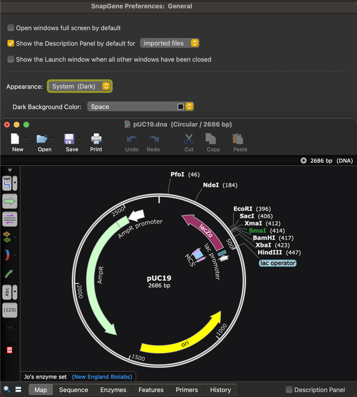 SnapGene V6.1更新啦！ - 知乎