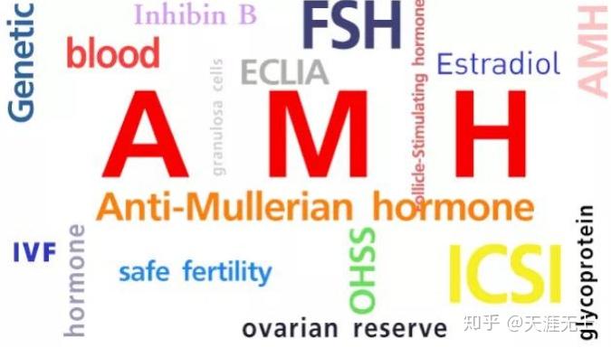 做试管婴儿前，为何一定要检查AMH？ - 知乎