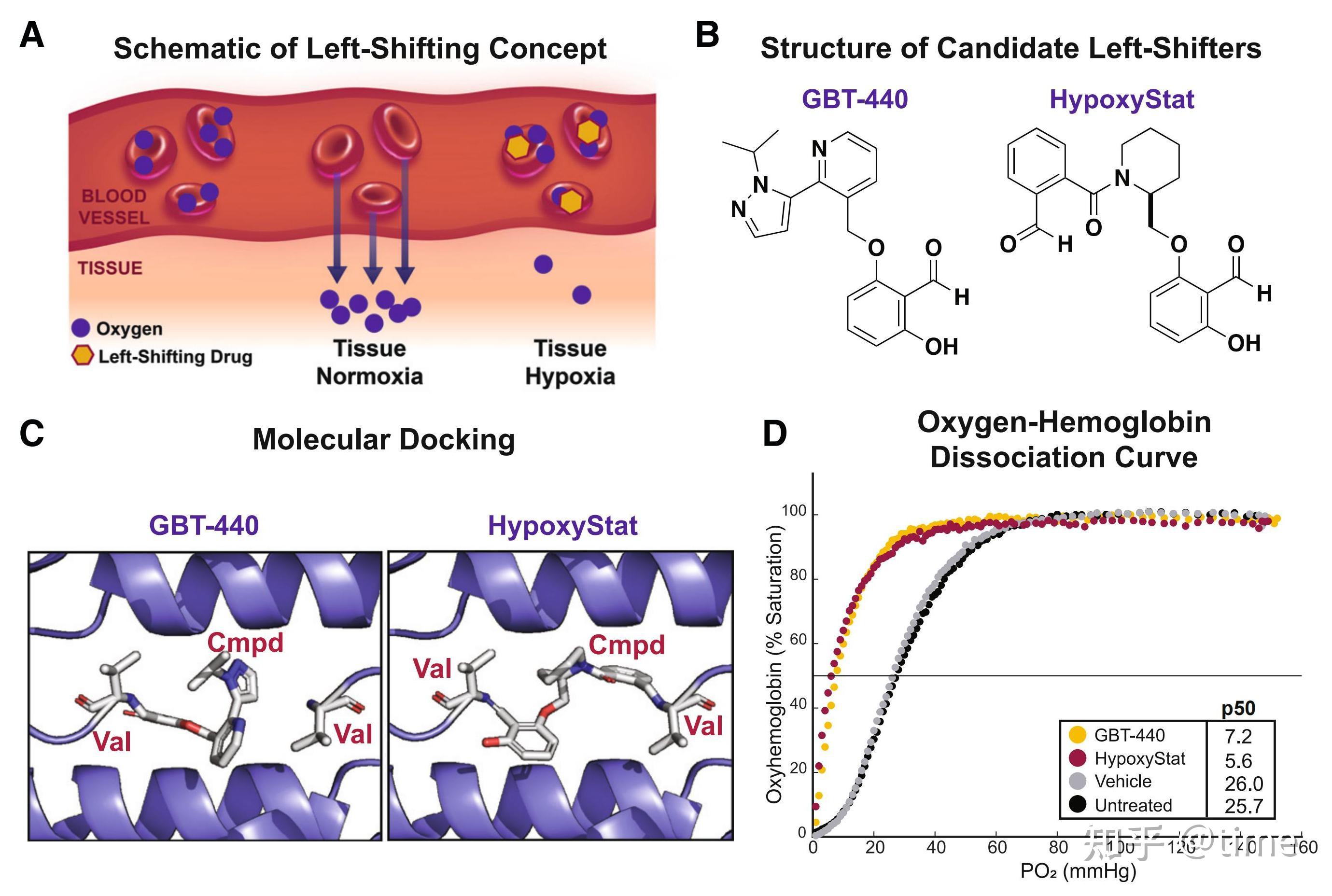 文献分享 | Cell：HypoxyStat，一种小分子形式的缺氧治疗，增加氧血红蛋白亲和力 - 知乎