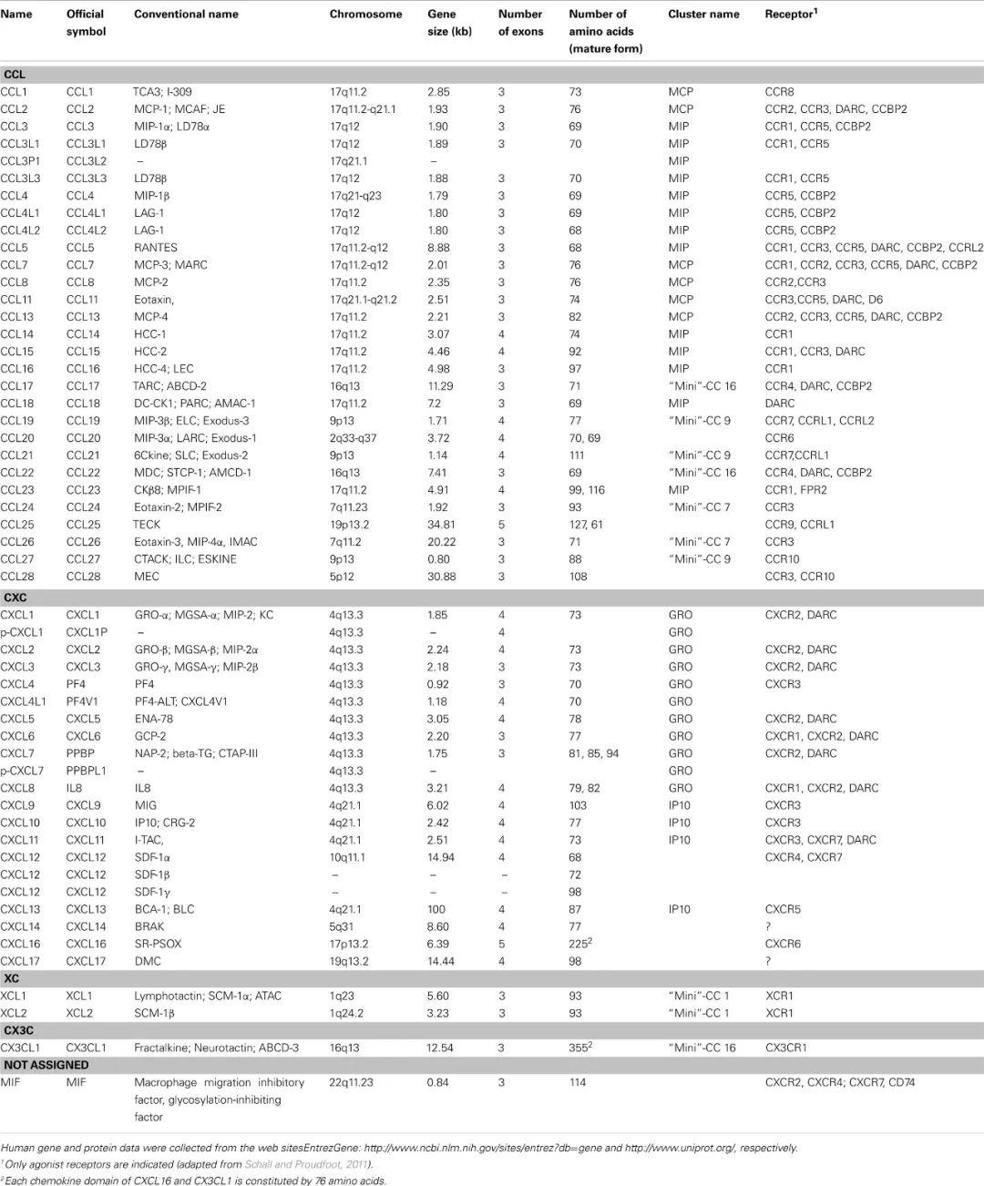 什么是趋化因子配体20 (CCL20)？ - 知乎