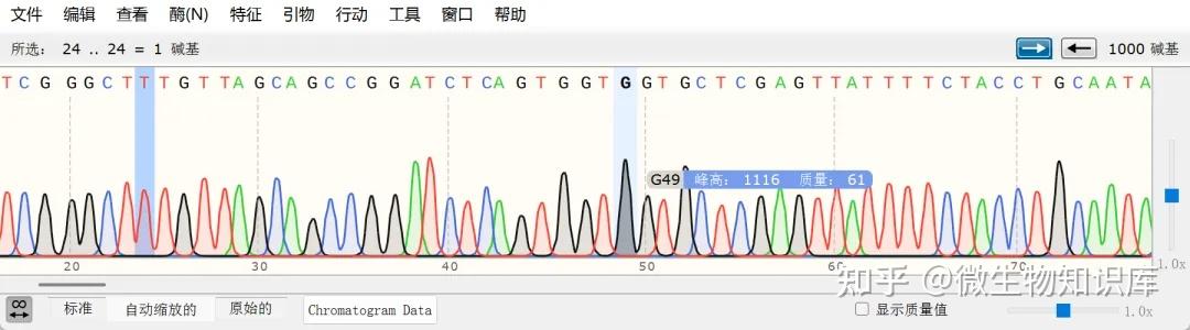 利用Snapgene详细分析Sanger测序结果 - 知乎