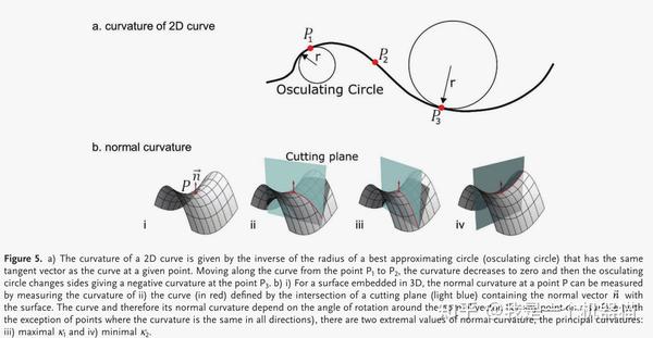 表面曲率 - 知乎