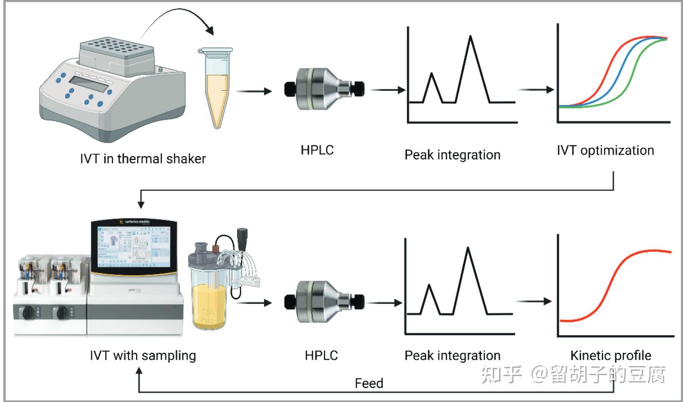 生物反应混合器自动控制补料流速，连续生产克级mRNA - 知乎