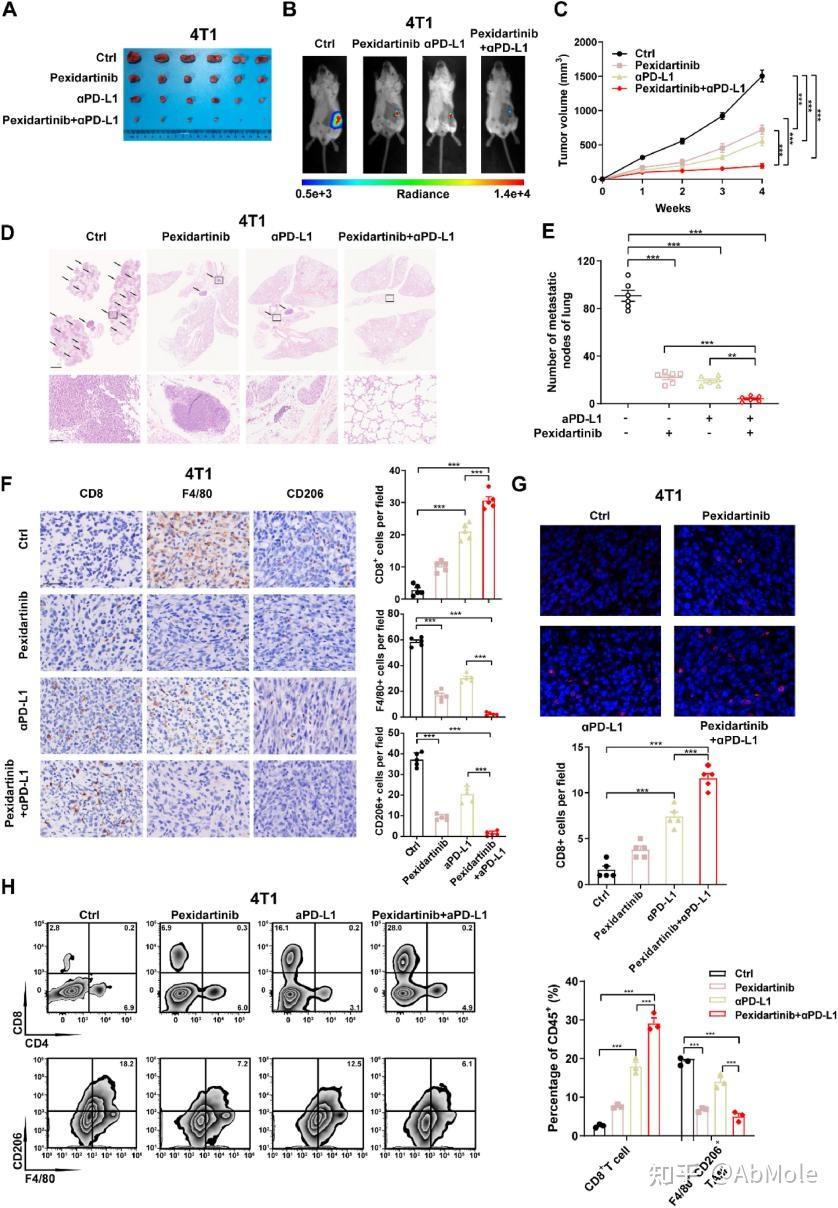 AbMole小课堂丨Pexidartinib（PLX3397）：在肿瘤免疫微环境、肿瘤抑制、神经免疫上的应用研究 - 知乎