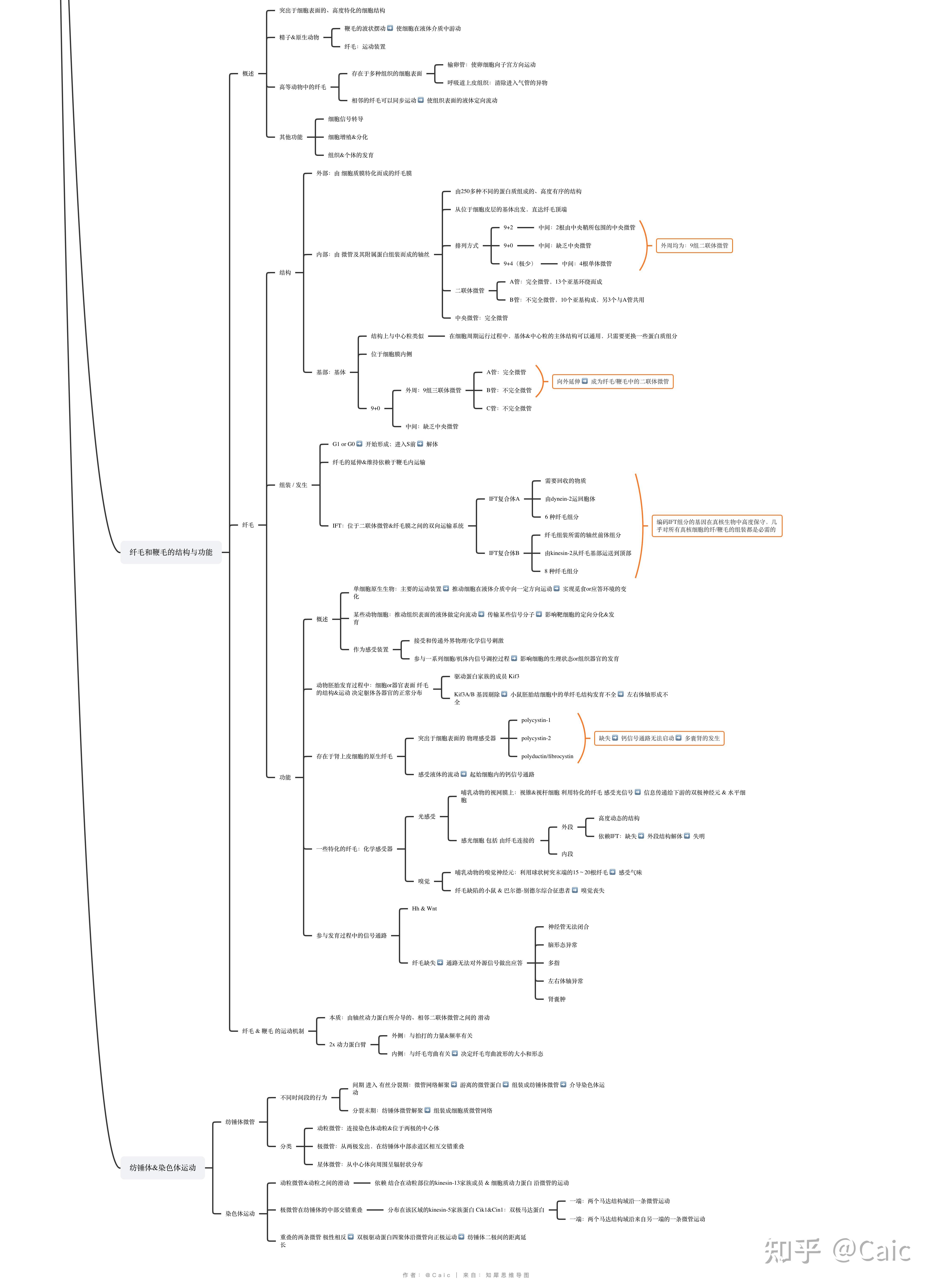 细胞生物学｜Ch.8 Sec.2_微管及其功能 - 知乎
