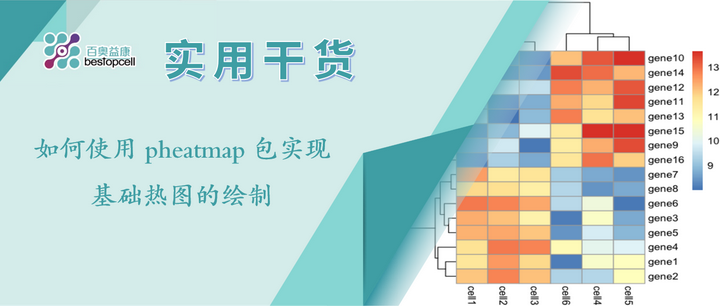 实用干货 | 如何使用 pheatmap 包实现基础热图的绘制 - 知乎