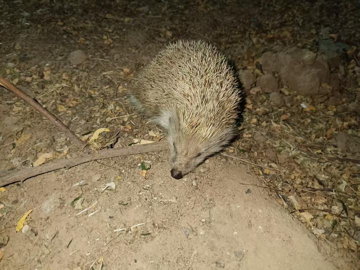 simhash的三种实现-第三篇，句子向量化+TF-IDF+词向量化，动态参数可调的simhash - 知乎