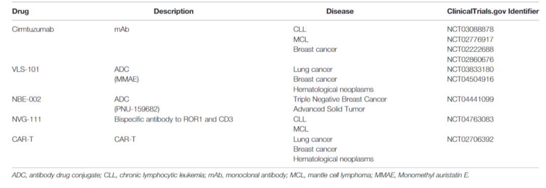 【领康时代CDMO】靶向ROR1抗体偶联药物及其可能内吞机制 - 知乎