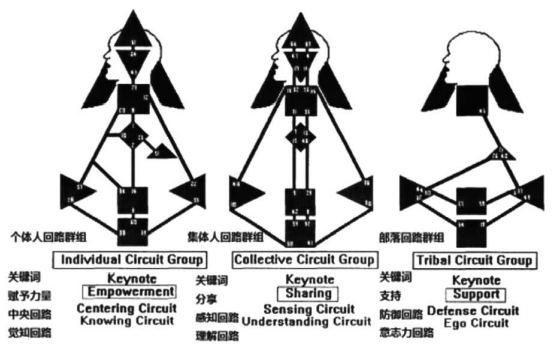 人类图：人体内的能量回路与通道（1） - 知乎