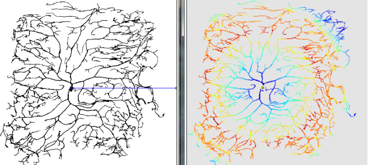 ImageJ的一些基本操作 - 知乎