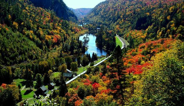 加拿大的枫叶到底有多美？ - 知乎