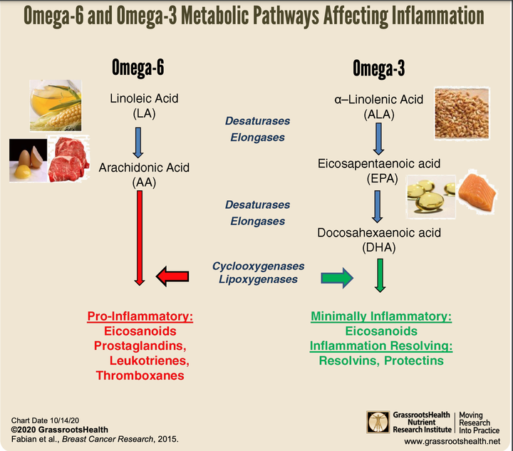 为什么Omega-3可以抗炎 - 知乎