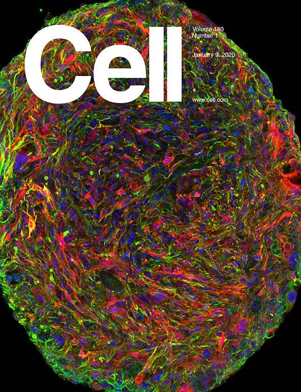 科学与艺术的结合！《CELL》100+张期刊封面鉴赏｜2020年篇 - 知乎