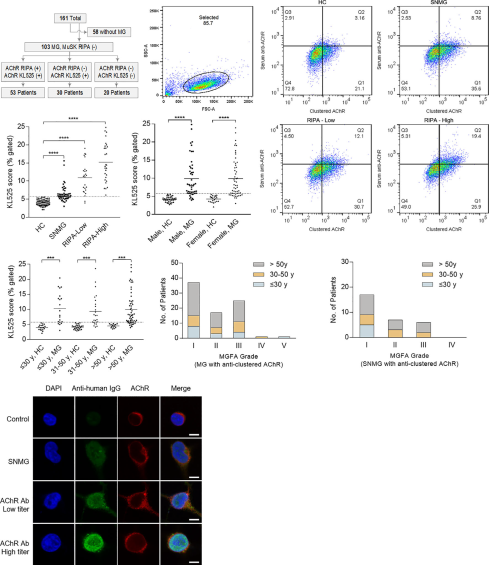 基因传递工具 | 一文了解慢病毒的应用全场景 - 知乎