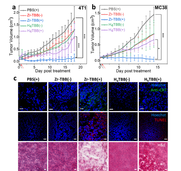 芝加哥大学林文斌教授《JACS》：纳米MOF稳定细菌卟啉用于I型和II型同步的光动力疗法 - 知乎