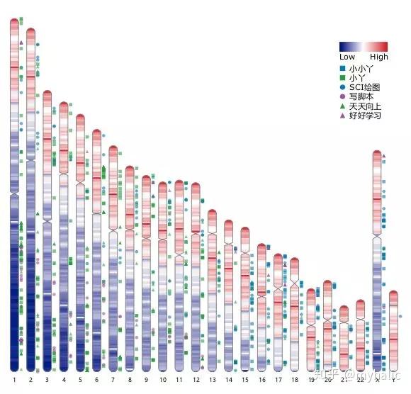 画最美染色体，就要用这个新工具 | 今天被CRAN接收 - 知乎