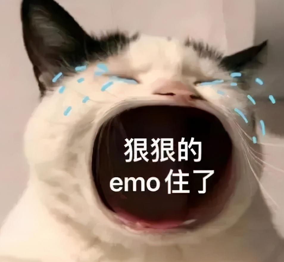 Wait list，美国名校的“好人卡”？关于Wait list转正的一切都在这里了... - 知乎