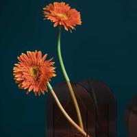 C#中IList 与List 的区别及其应用场景 - 知乎