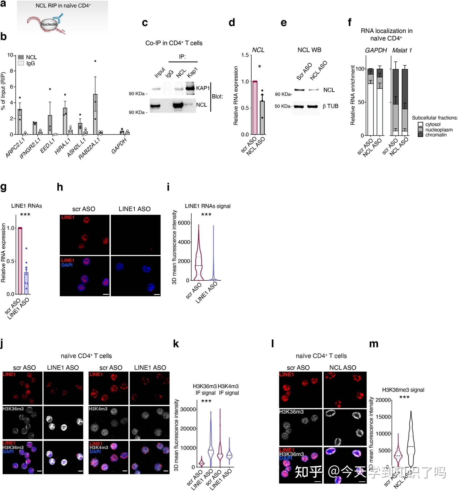 LINE1 are spliced in non-canonical transcript variants to regulate T ...