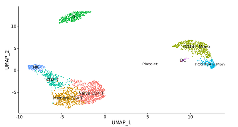 R中进行单细胞分析如何高效读入H5AD文件 - 知乎