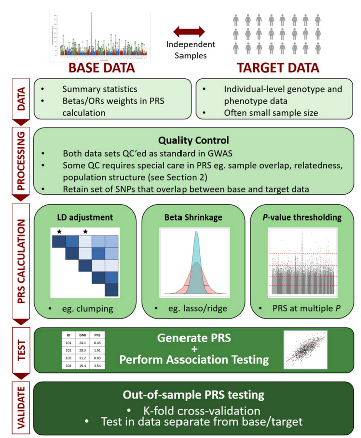 PRS风险评分构建——Plink+R - 知乎