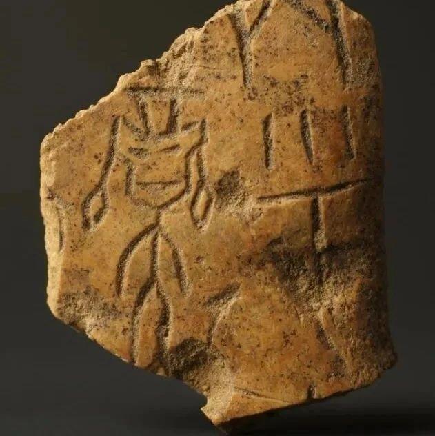 甲骨文每日一字（11）：小 - 知乎