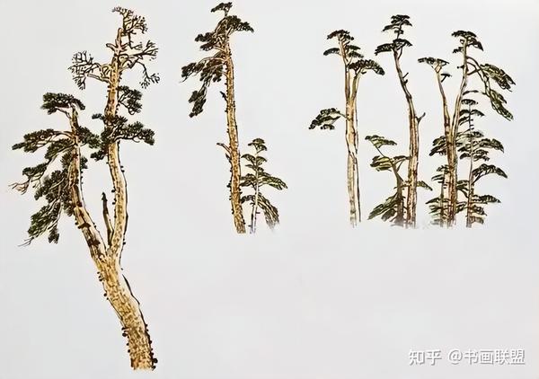 国画技法 松树的各种画法 - 知乎
