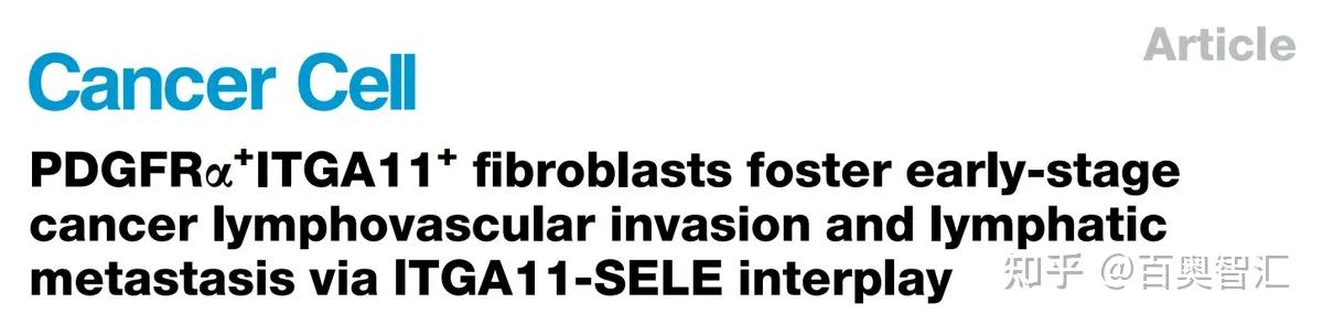 Best of Cancer Cell 2024（五）| 揭秘早期膀胱癌的“隐形帮凶” - 知乎