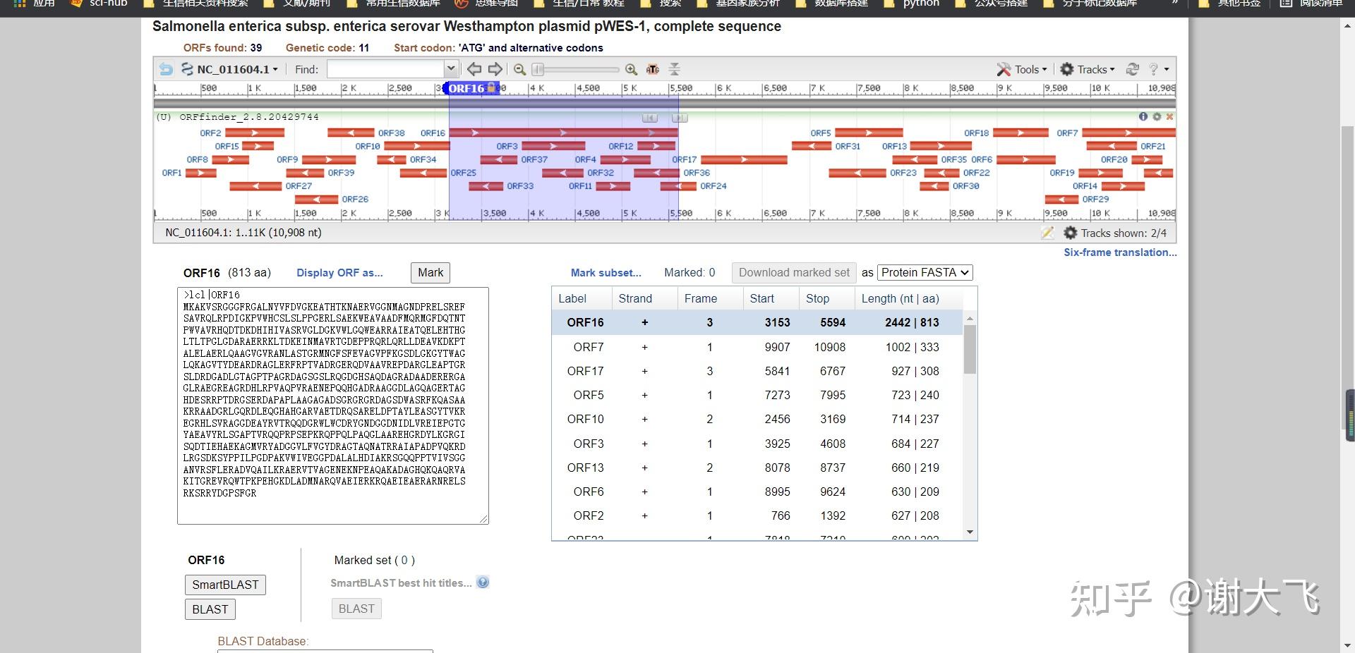 ORF finder 安装与使用 - 知乎