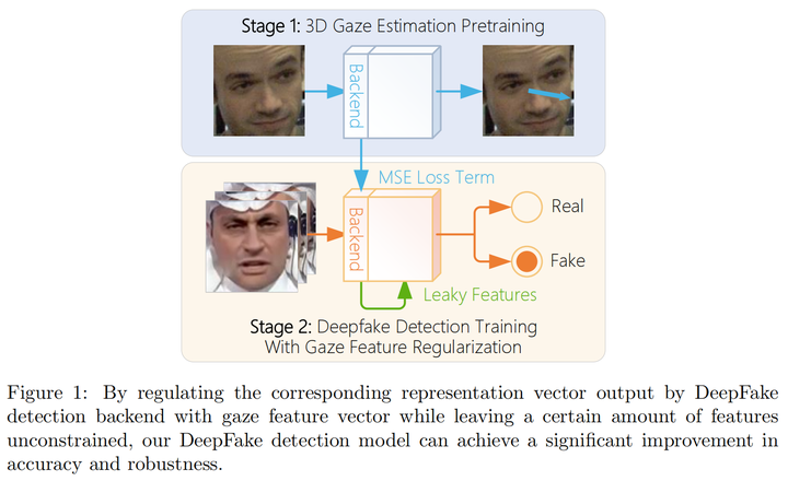 GazeForensics: DeepFake Detection via Gaze-guided Spatial Inconsistency Learning（视线引导的空间不一致性学习鉴伪 ...
