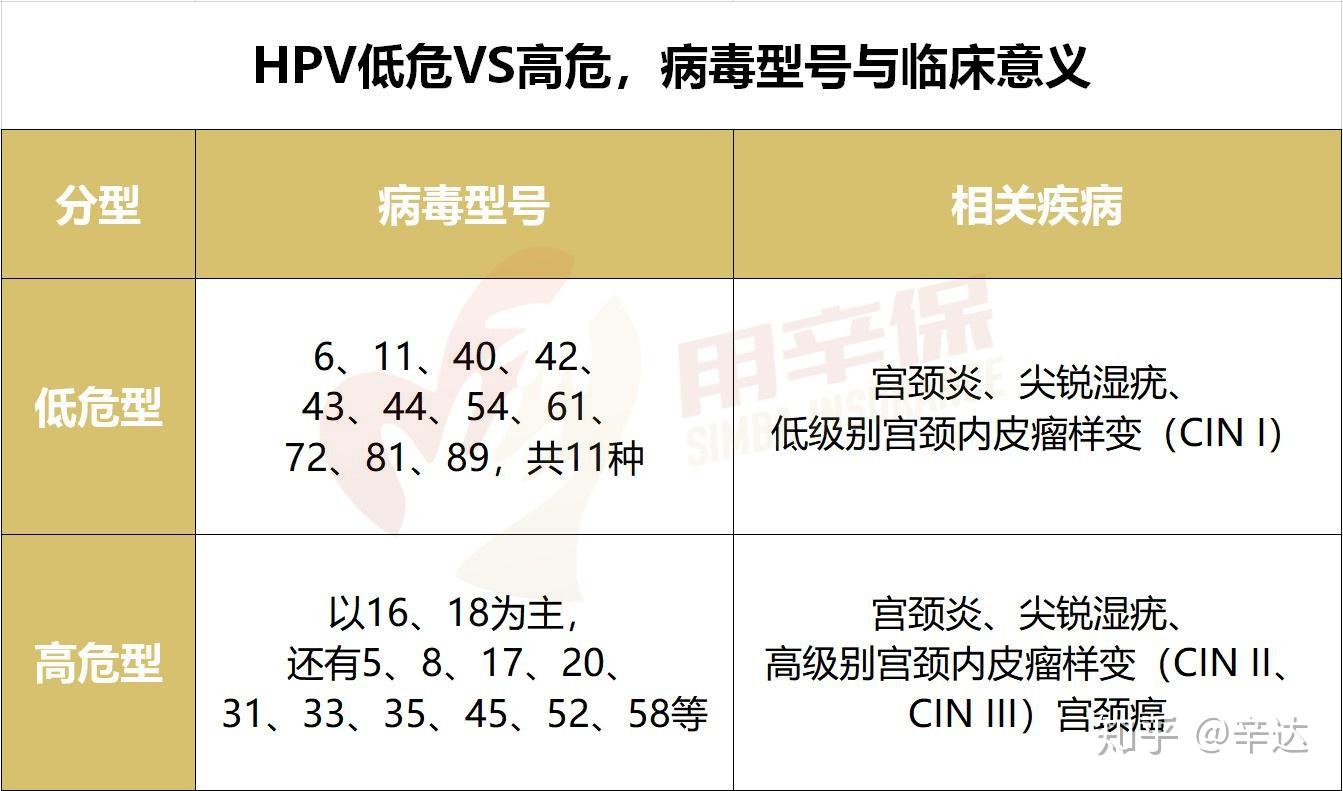 她没想到，HPV阳性还能投保重疾险 - 知乎