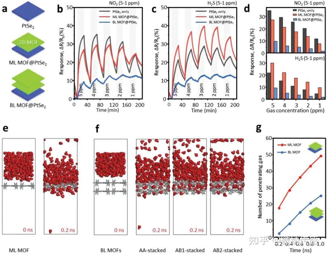 韩国科学技术院最新《AFM》：单层MOF作为过滤层调控PtSe2气体传感器的选择性 - 知乎