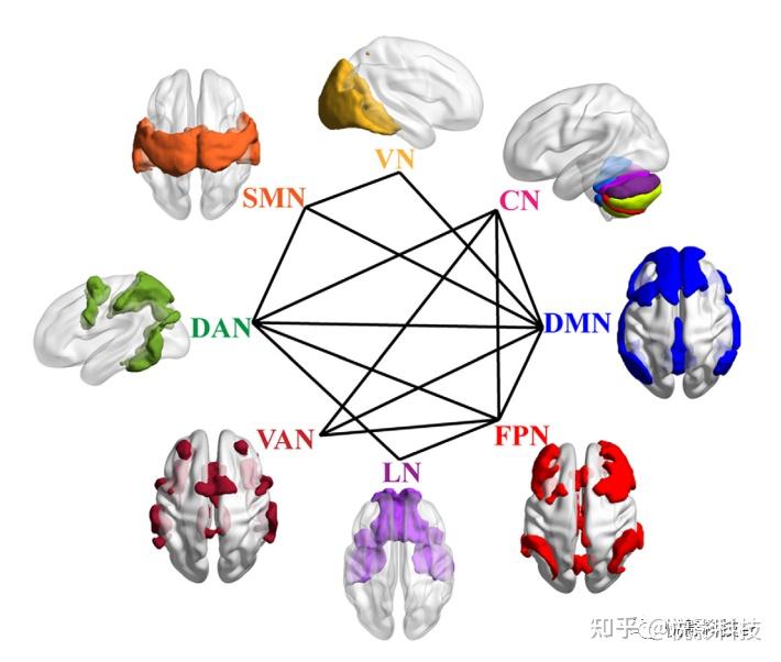 从时间变异性角度看睡眠剥夺后的异常动态功能连接 - 知乎