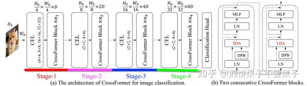 【多尺度 + 间隔注意】Transformer CrossFormer: A Versatile Vision Transformer ...