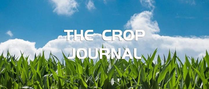 The Crop Journal |中国农科院作科所智能设计算法模型创新研究组推出新一代植物育种计算机仿真模拟预测通用工具ISB - 知乎