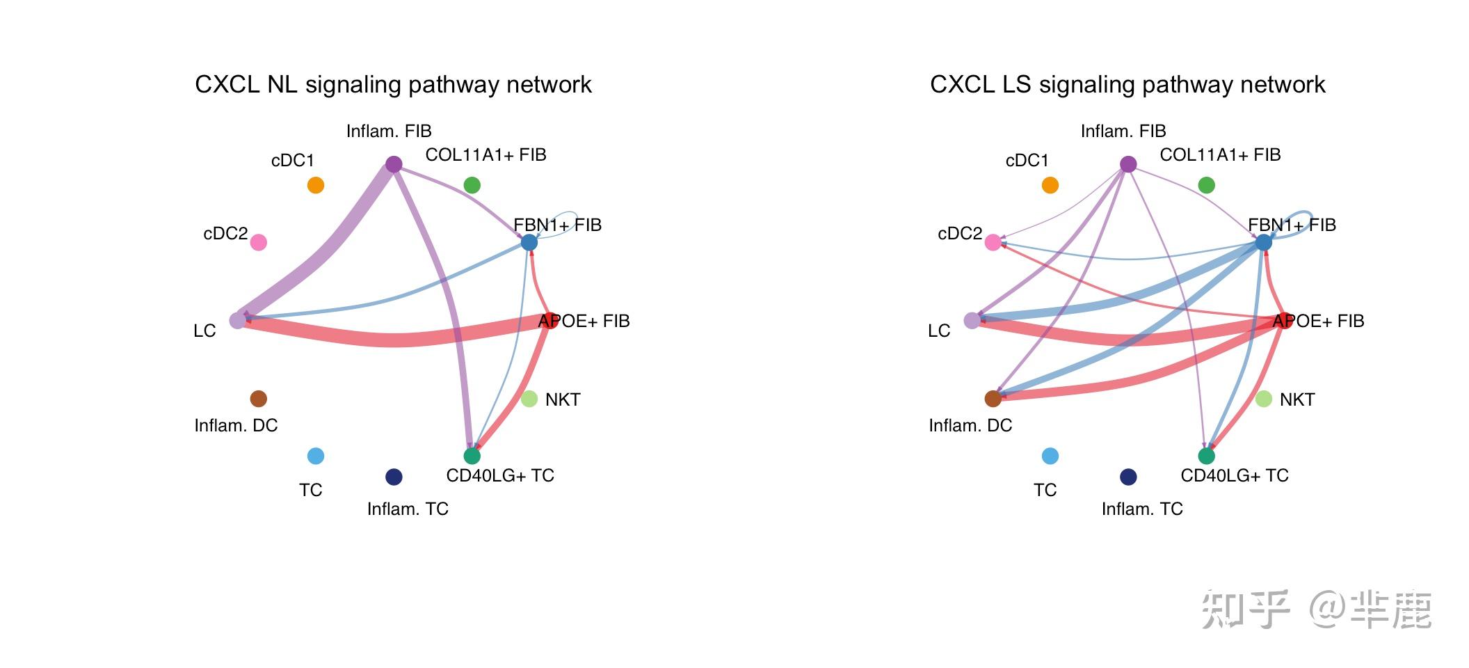 CellChat细胞通讯分析（下）--实操代码·多个数据集比较分析 - 知乎