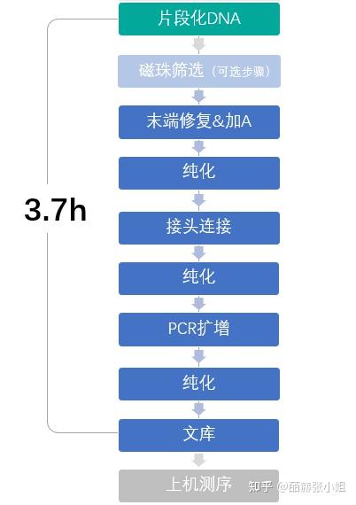 Inheco ODTC全自动PCR仪-DNA测序、基因诊断、文库制备、蛋白质组学、酶分解 - 知乎