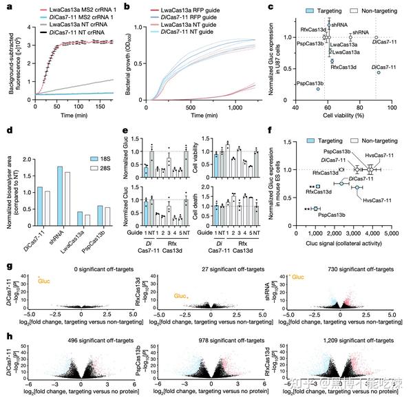 RNA靶向性的Type III CRISPR Cas家族 - 知乎