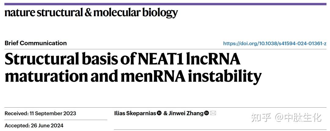 Nat Struct Mol Biol | 张金伟团队揭示长链非编码RNA NEAT1成熟和menRNA胞内快速降解的结构机制 - 知乎