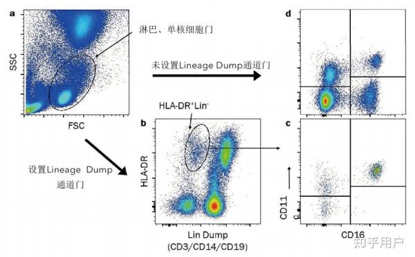手把手教会你解读流式细胞数据，真的太太太详细了！ - 知乎