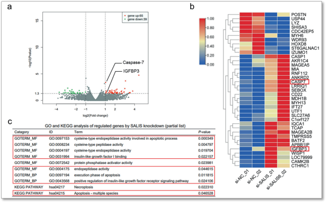 Cell Death Dis︱南方医科大学公共卫生学院邹飞/周良及南方医院蔡绍曦团队合作揭露肝细胞癌发展的新机制 - 知乎