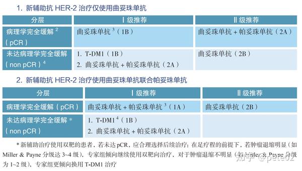 乳腺癌的病理分型和Her2阳性乳腺癌的治疗选择 - 知乎