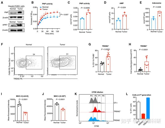 玩出了“新花样”的肿瘤相关巨噬细胞（TAMs）研究 - 知乎