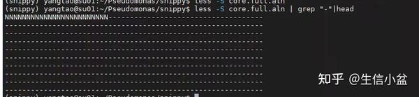 细菌snp分析和建树（snippy） - 知乎