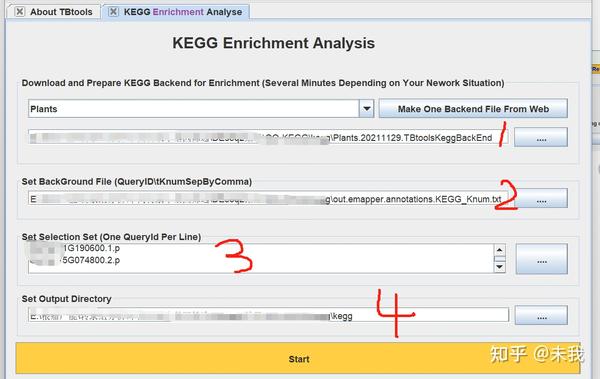 Tbtools-KEGG分析 - 知乎