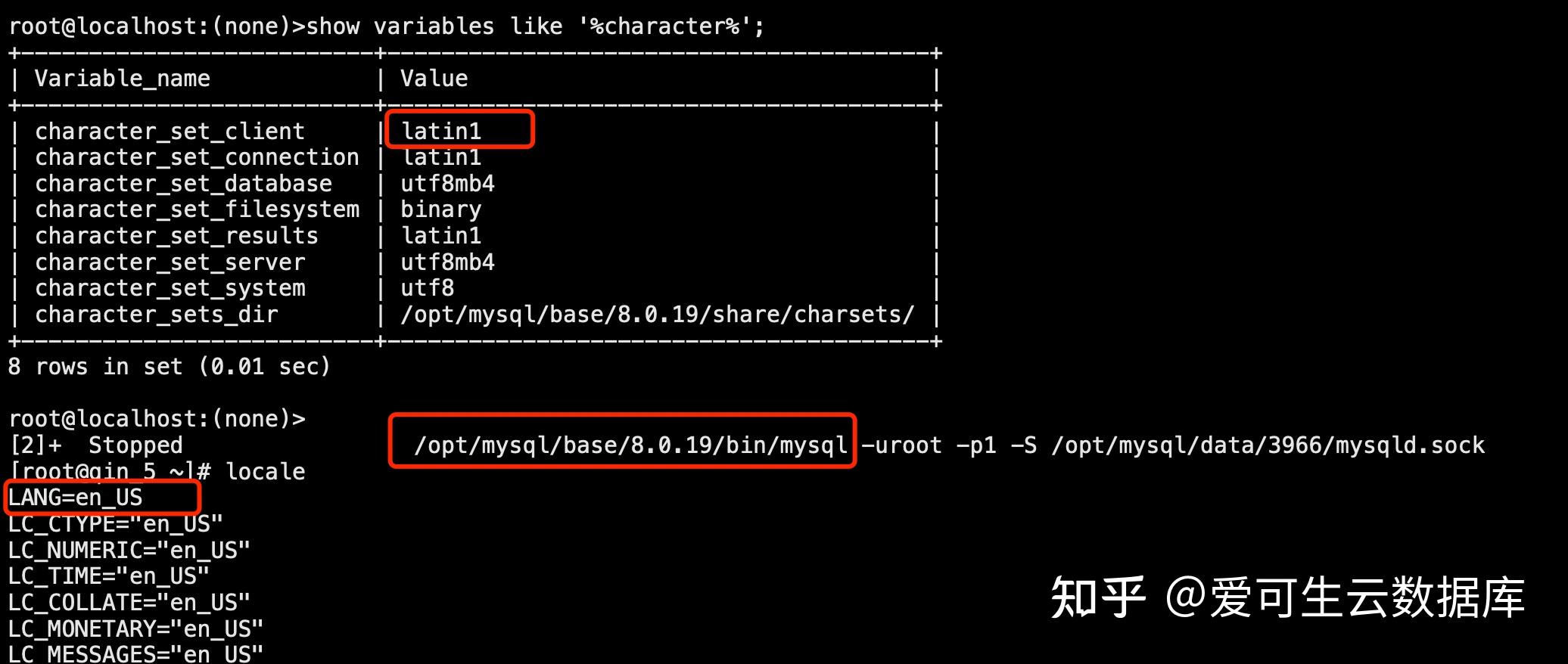 技术分享 | 为什么我的 MySQL 客户端字符集为 latin1 - 知乎