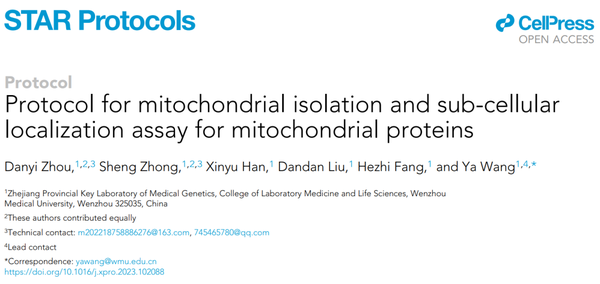 STAR Protocols︱温州医科大学方合志/王娅课题组发表线粒体分离及线粒体蛋白亚定位方法 - 知乎